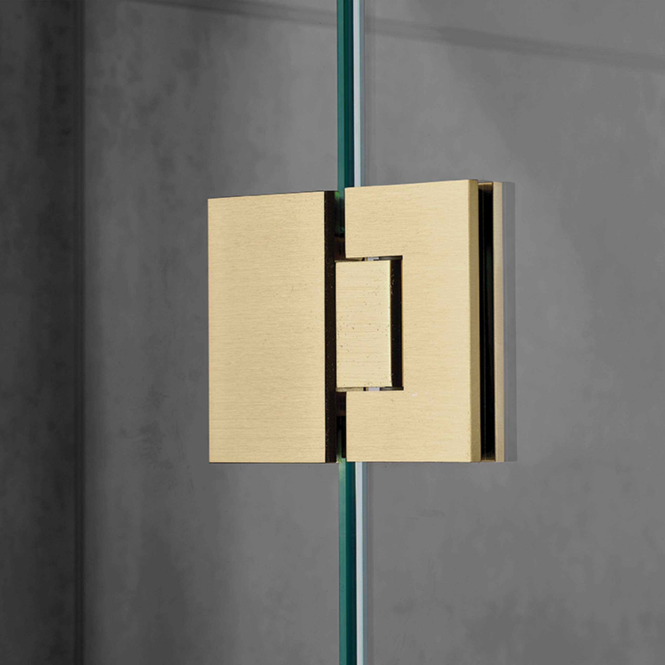 Frameless Glass Shower Hardware